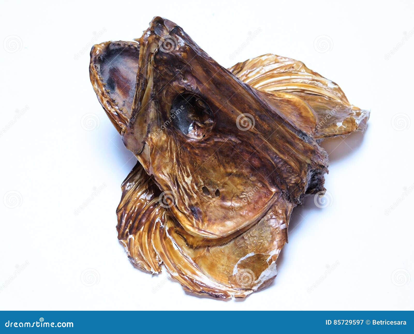 Specially Crafted Head Fish Stock Image - Image of head, heads: 85729597