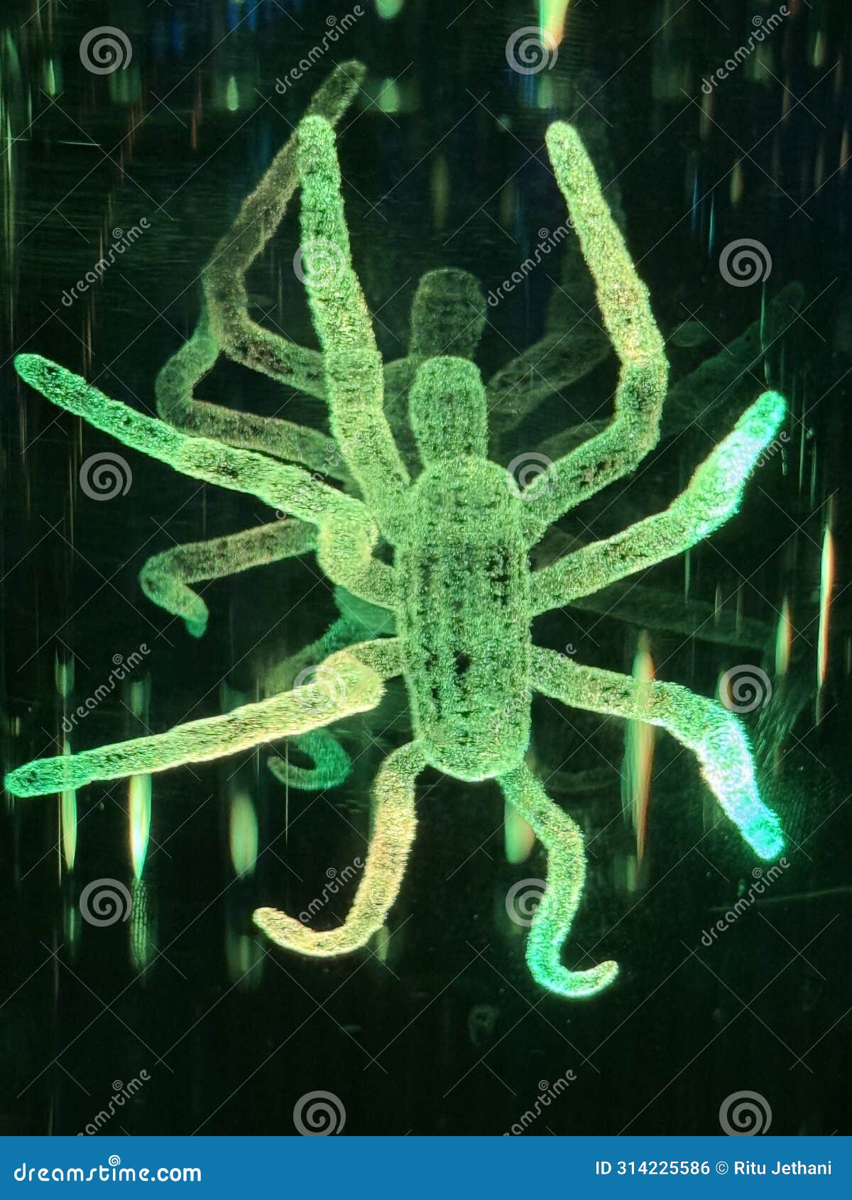 Species Sample Specimen at the Library Exhibit at the Museum of the ...