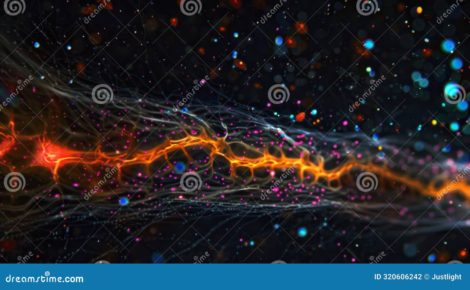 Specific Types of Interneurons May Be Activated by Different Stimuli ...