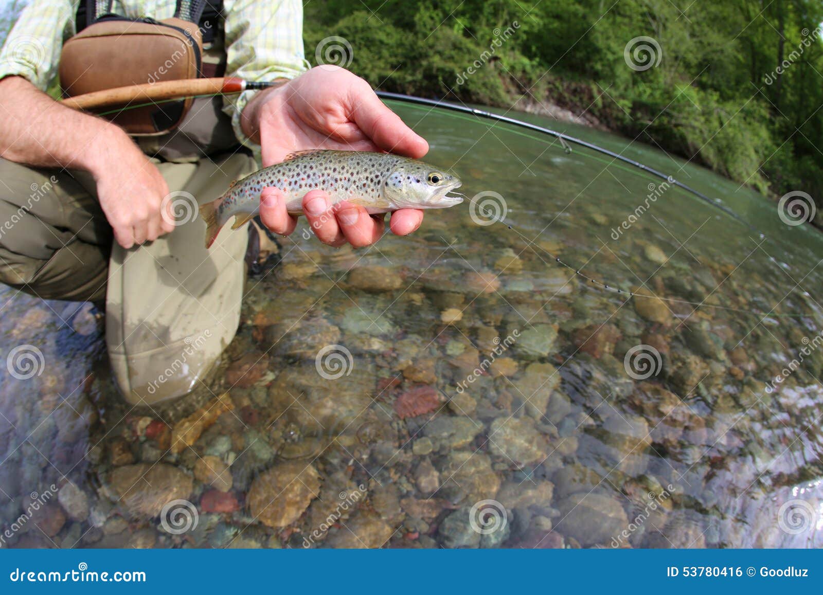 Specifieke Visser Met Forel Stock Foto - Image of forellen, toestel ...