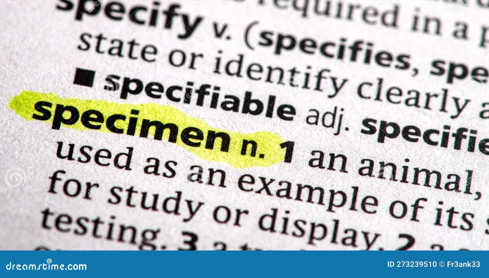 Specimen stock photo. Image of science, word, court - 273239510