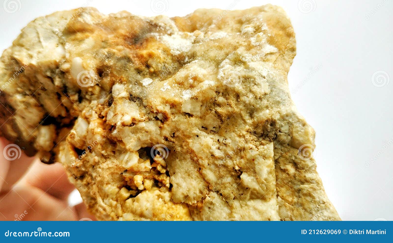 Speciment Geological Collection Rocks and Mineral from Quartz ...