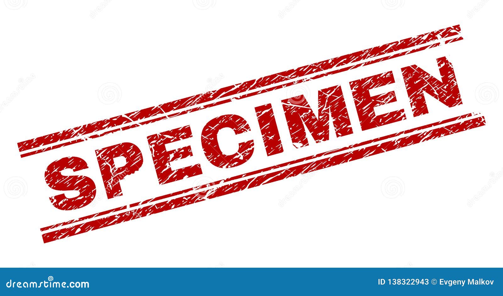 Scratched Textured SPECIMEN Stamp Seal Stock Vector - Illustration of ...