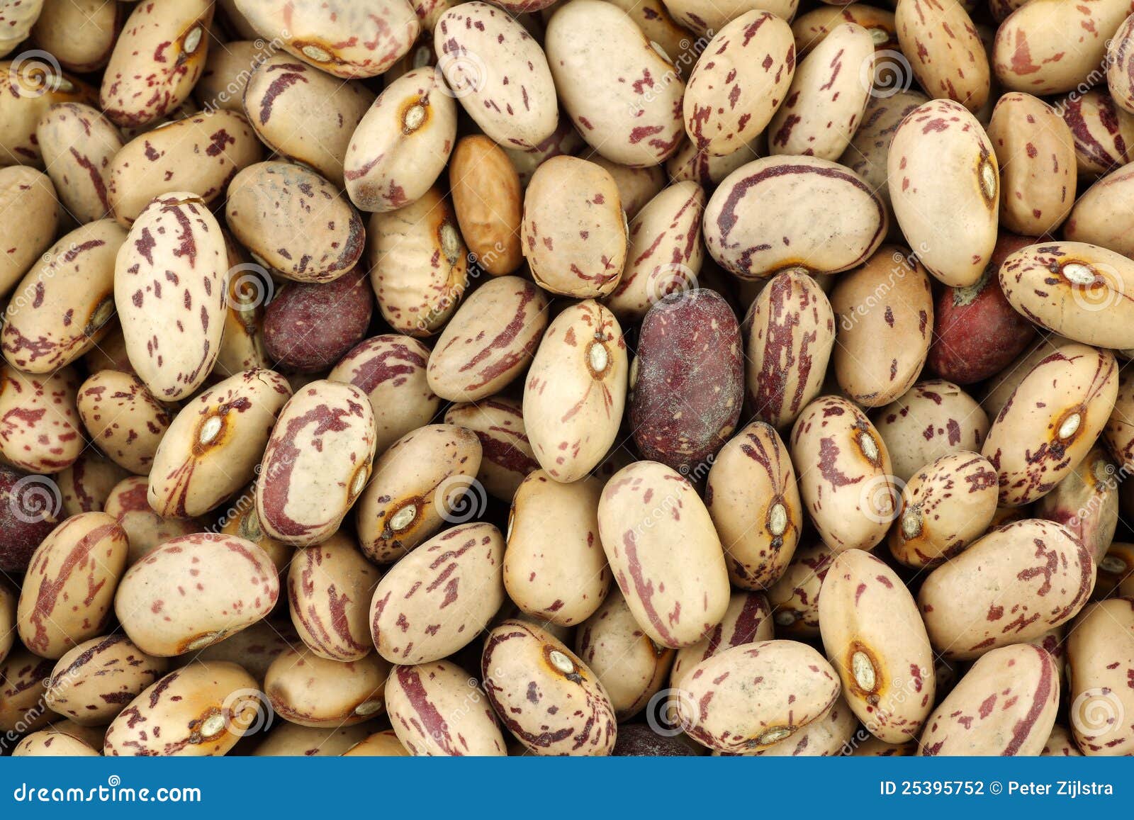 Speckled beans background stock photo. Image of delicious - 25395752