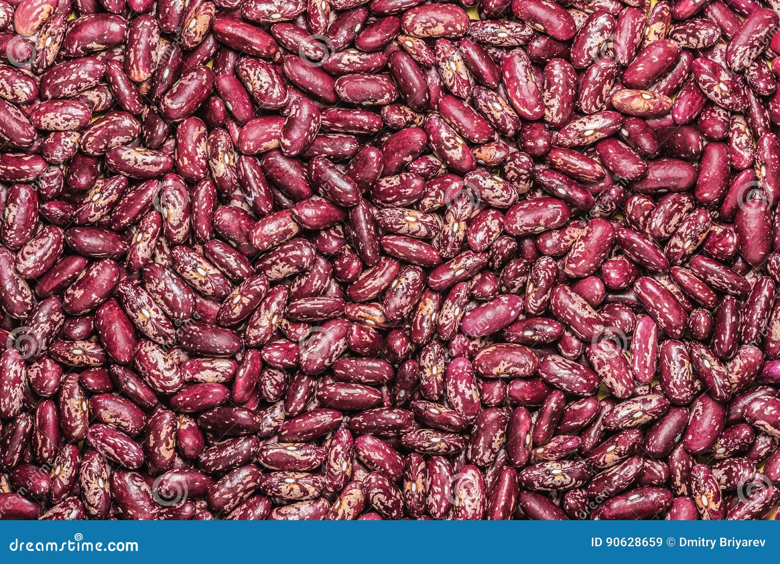 Speckled beans closeup stock image. Image of healthy - 90628659