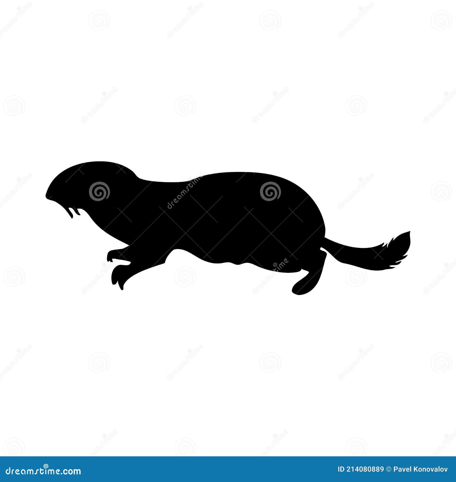 Speckled Gopher Silhouette stock vector. Illustration of groundhog ...