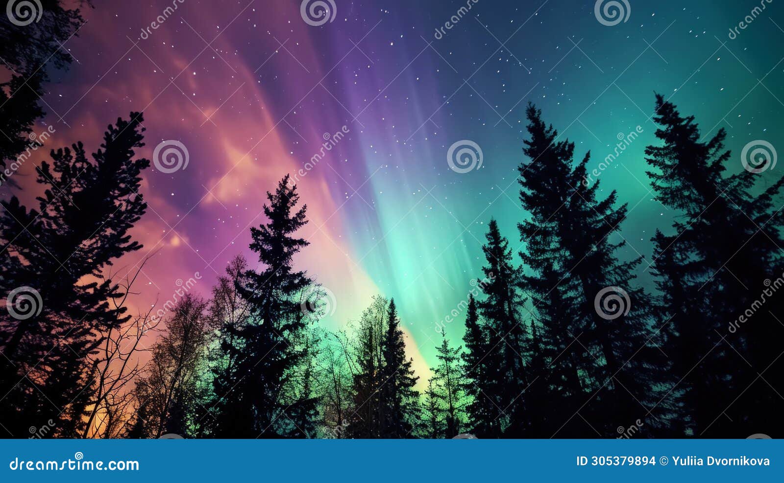 Spectacular Aurora Borealis Northern Lights In The Snowy Forest