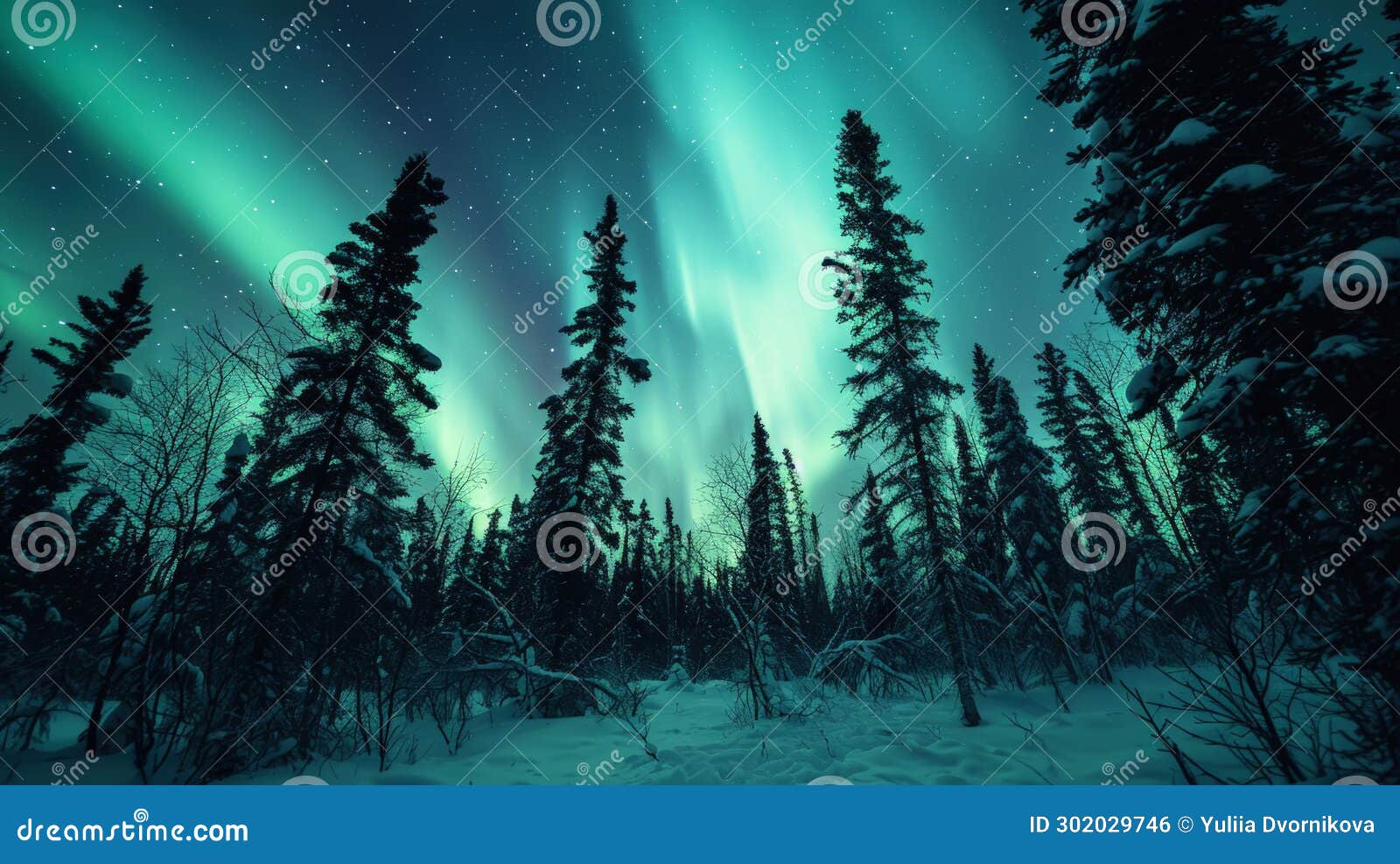 Spectacular Aurora Borealis Northern Lights In The Snowy Forest