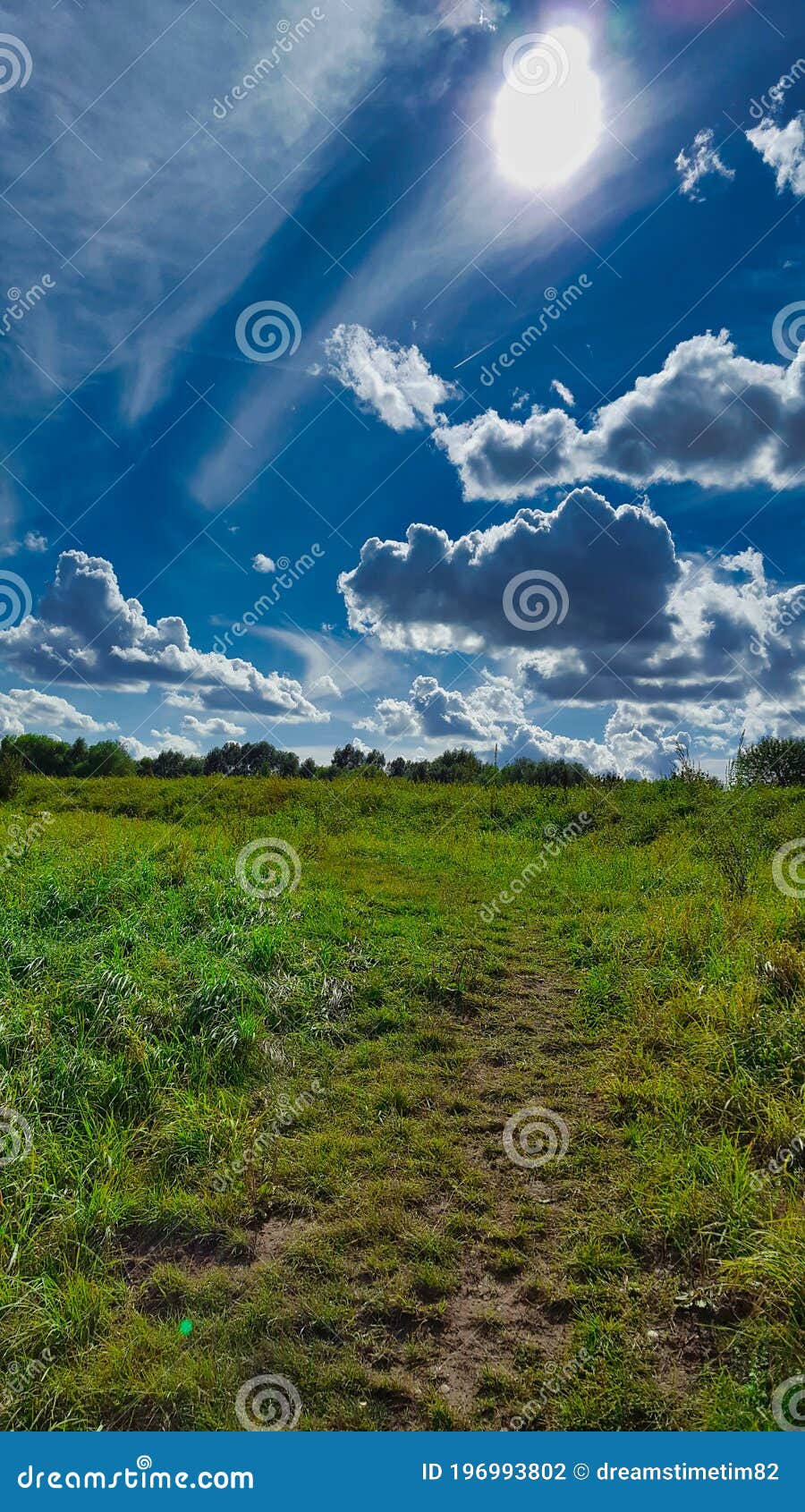 Spectacular Blue Sky with a Green Meadow in Front Stock Photo - Image ...