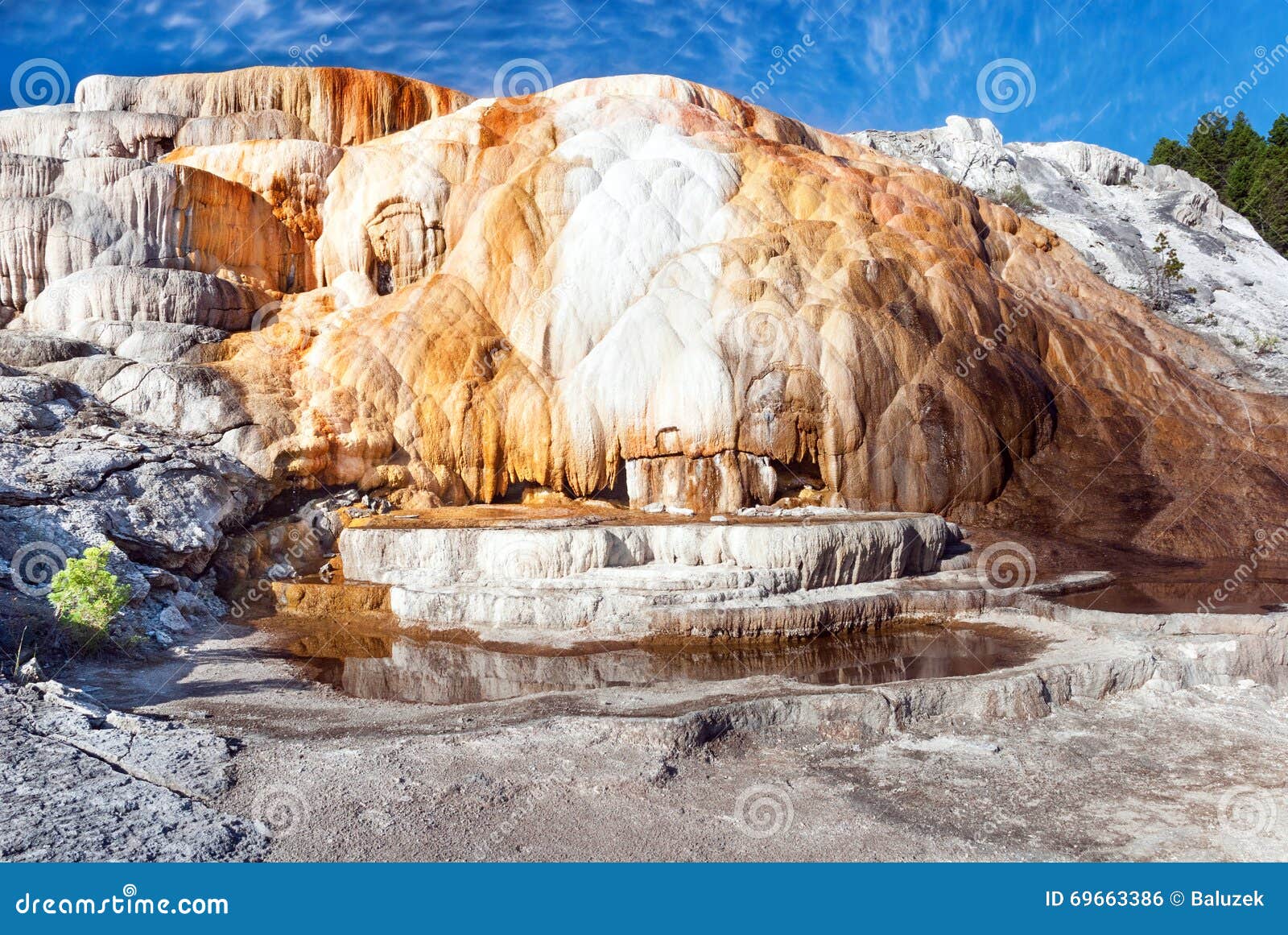 Spectacular Cleopatra Terrace of Mammoth Hot Springs Stock Photo ...
