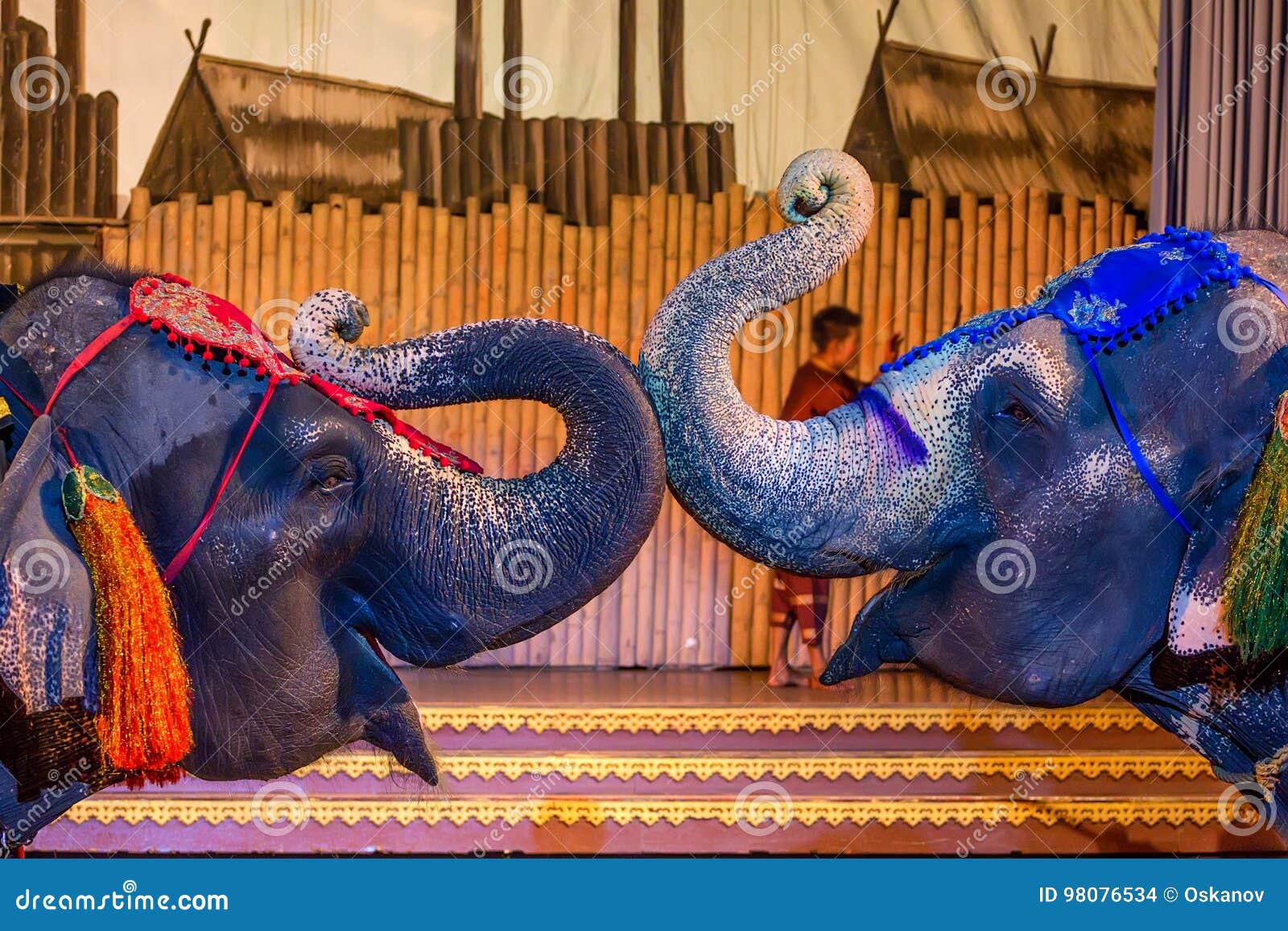 Spectacular elephant show editorial stock image. Image of proboscis ...
