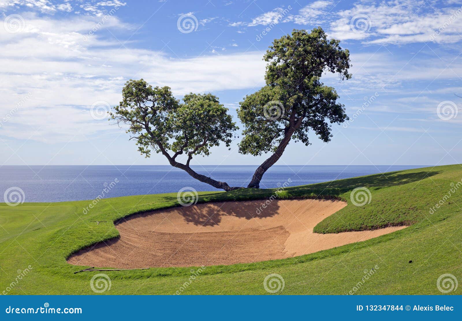 Spectacular golf course stock photo. Image of activity - 132347844