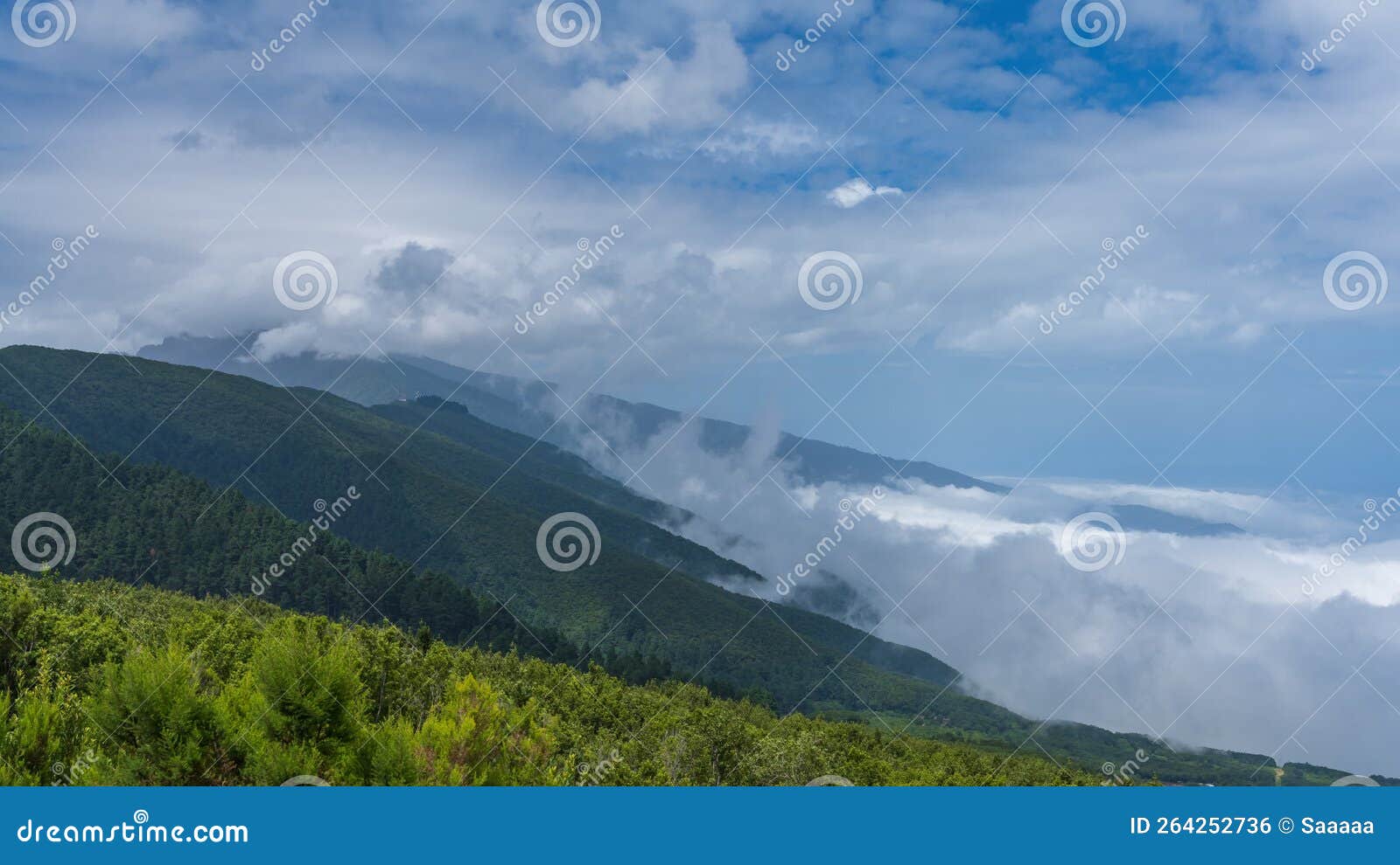 Spectacular Loopable Rainforest Time Lapse with Text Space Stock ...