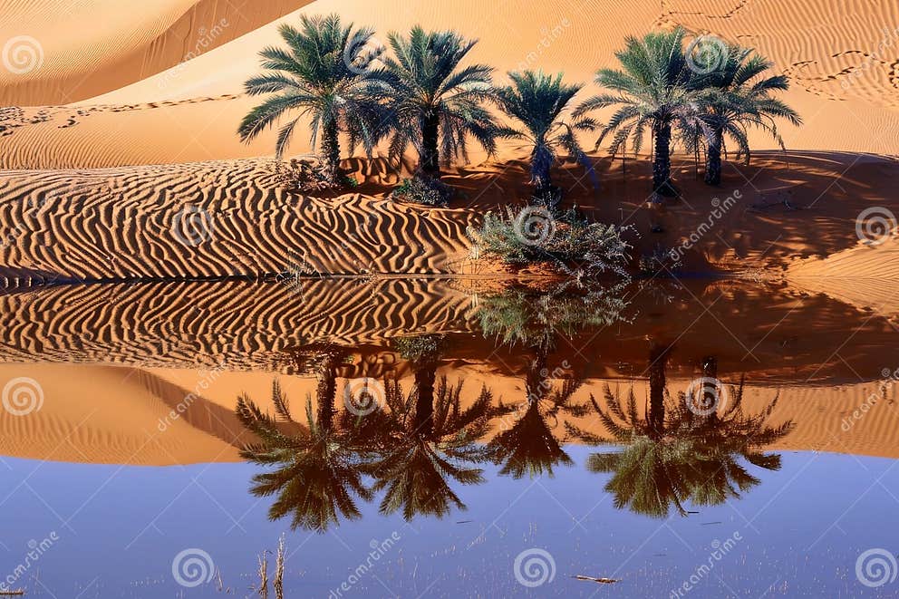 A Spectacular Mirage in the Desert Stock Illustration - Illustration of haze, arid: 355189879