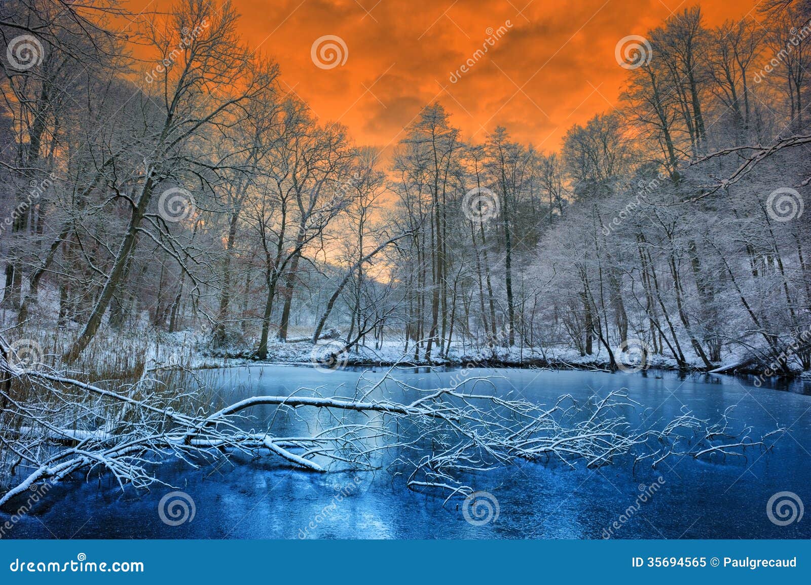 Spectacular Orange Sunset Over Winter Forest Stock Image - Image of ...
