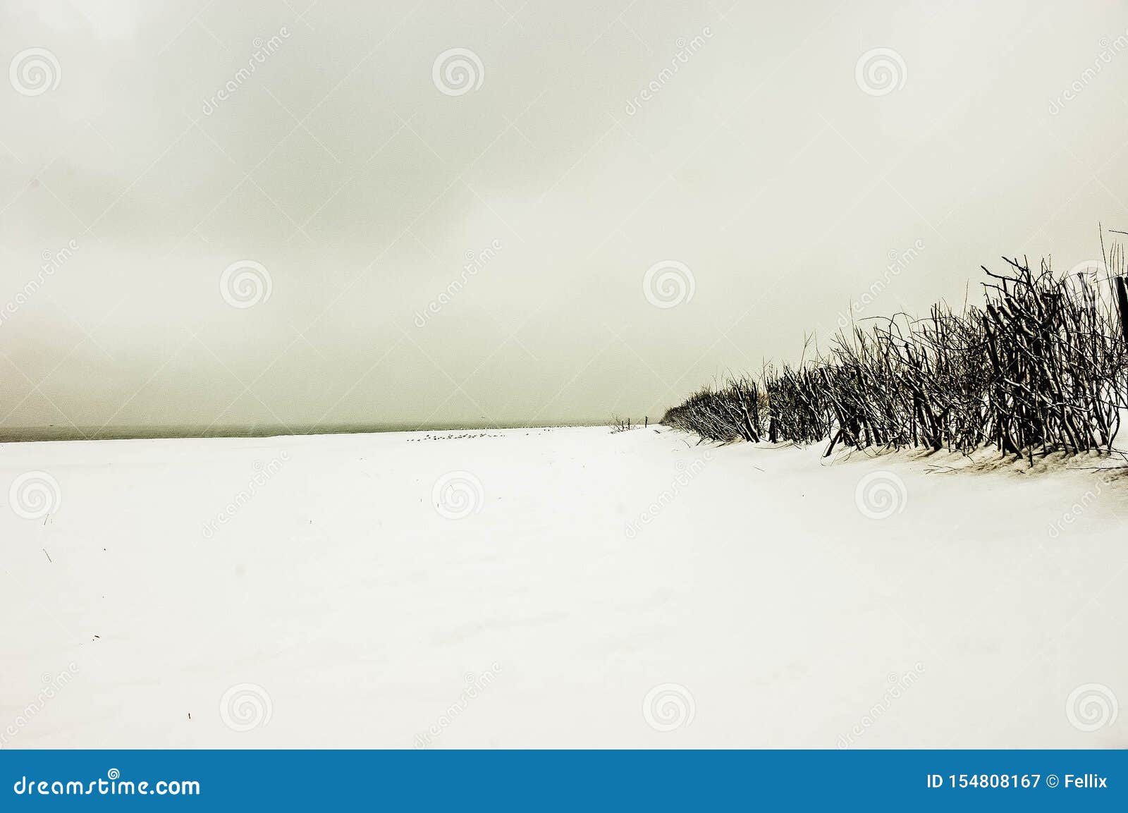 A Spectacular Snow Storm on the Sandy Beach Stock Image - Image of ...
