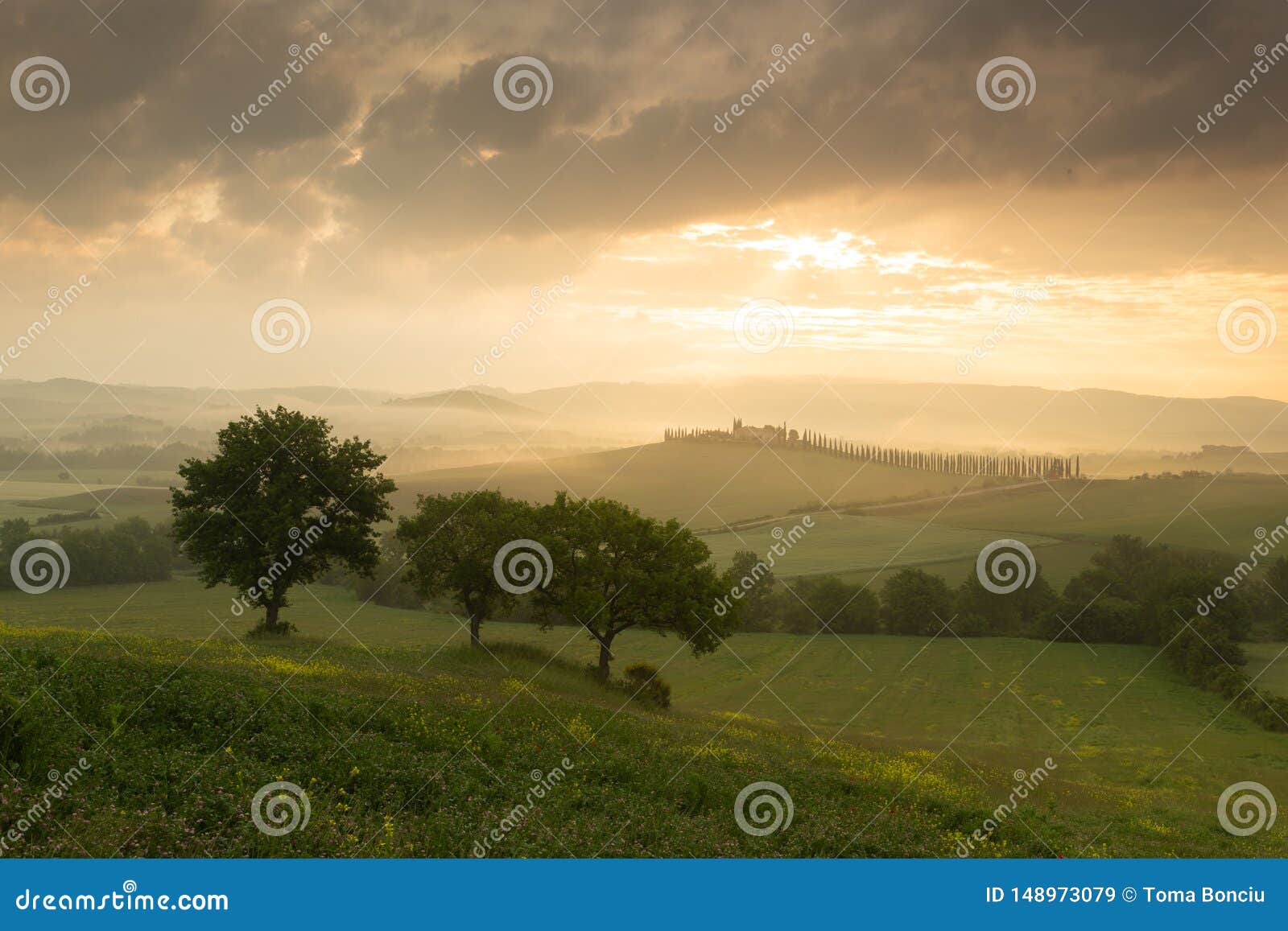 Spectacular Sunrise on the Fields of Tuscany, Italy. Summer Landscape ...