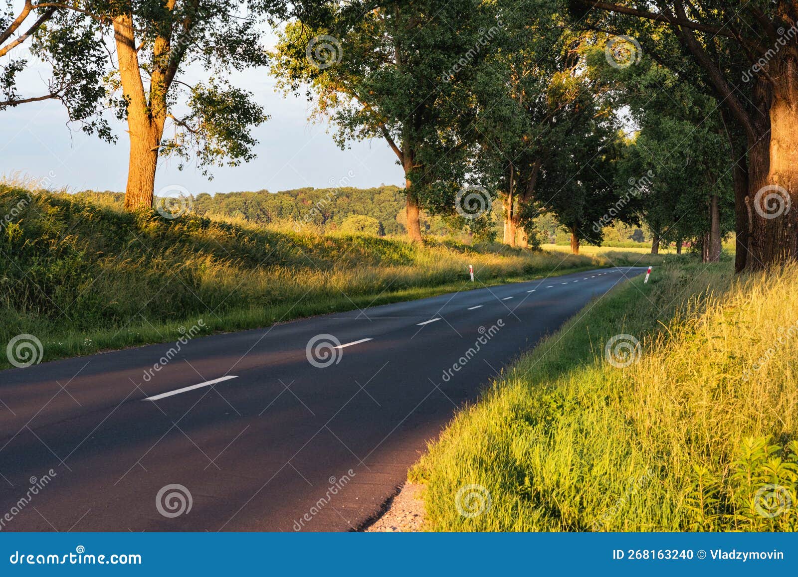 Spectacular Sunset on the Empty Forest Road Stock Photo - Image of ...