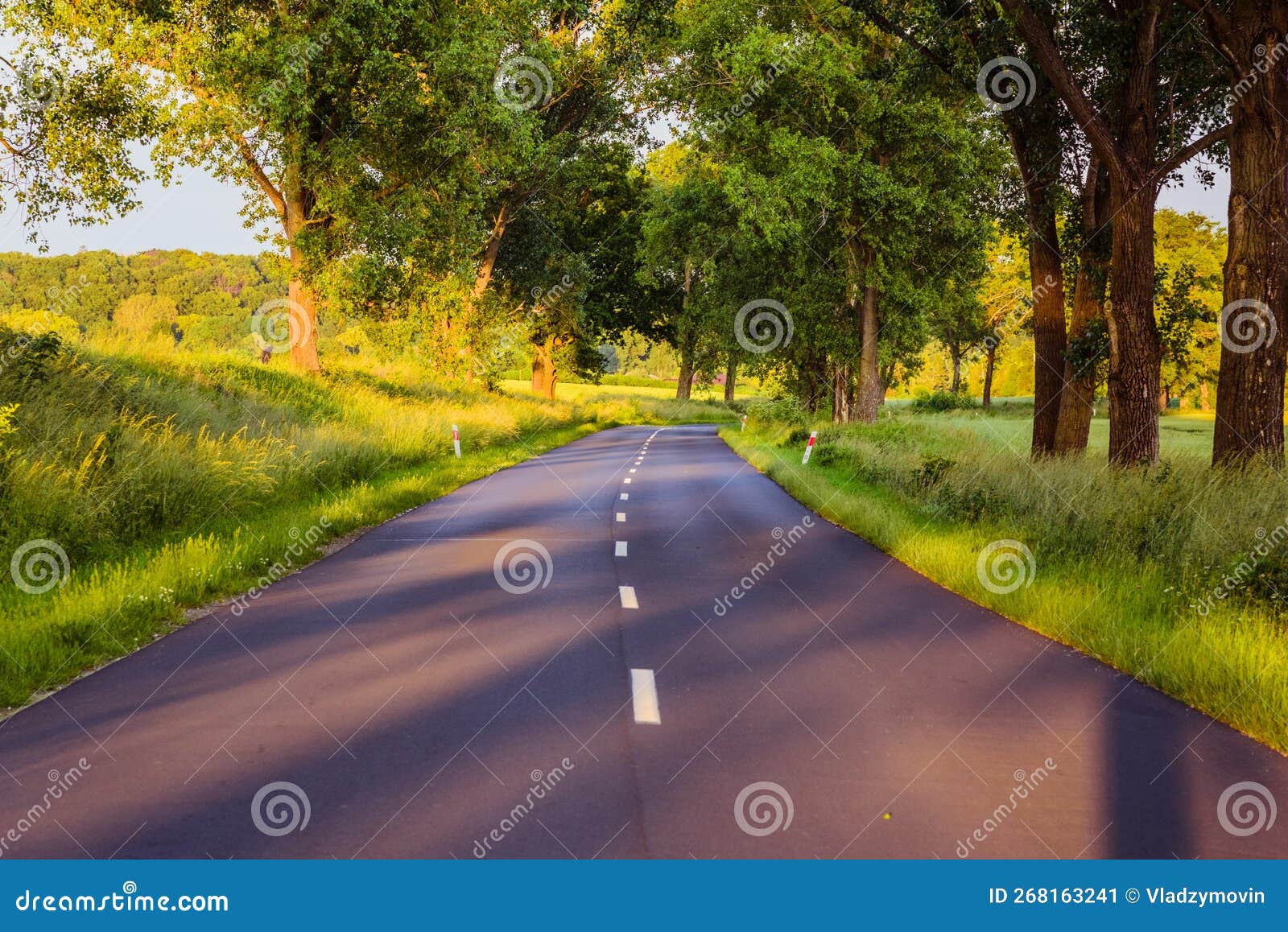 Spectacular Sunset on the Empty Forest Road Stock Image - Image of ...