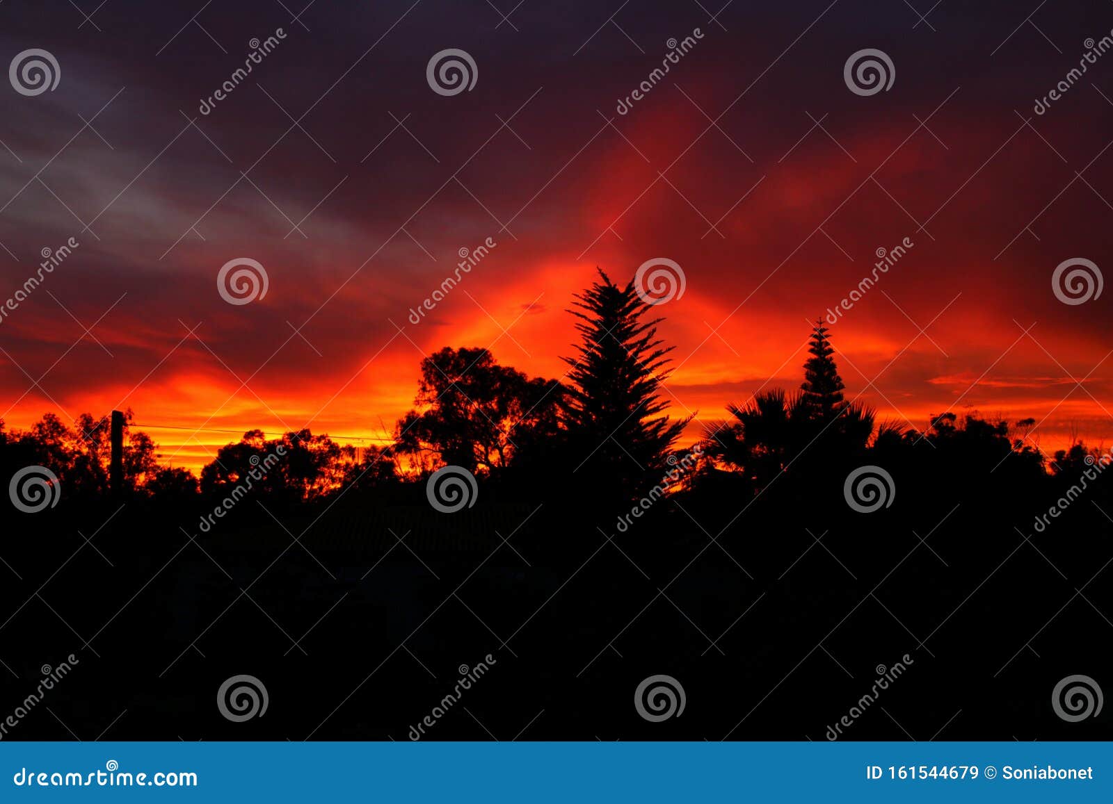 Spectacular Sunset with Fire Color Stock Image - Image of nature ...