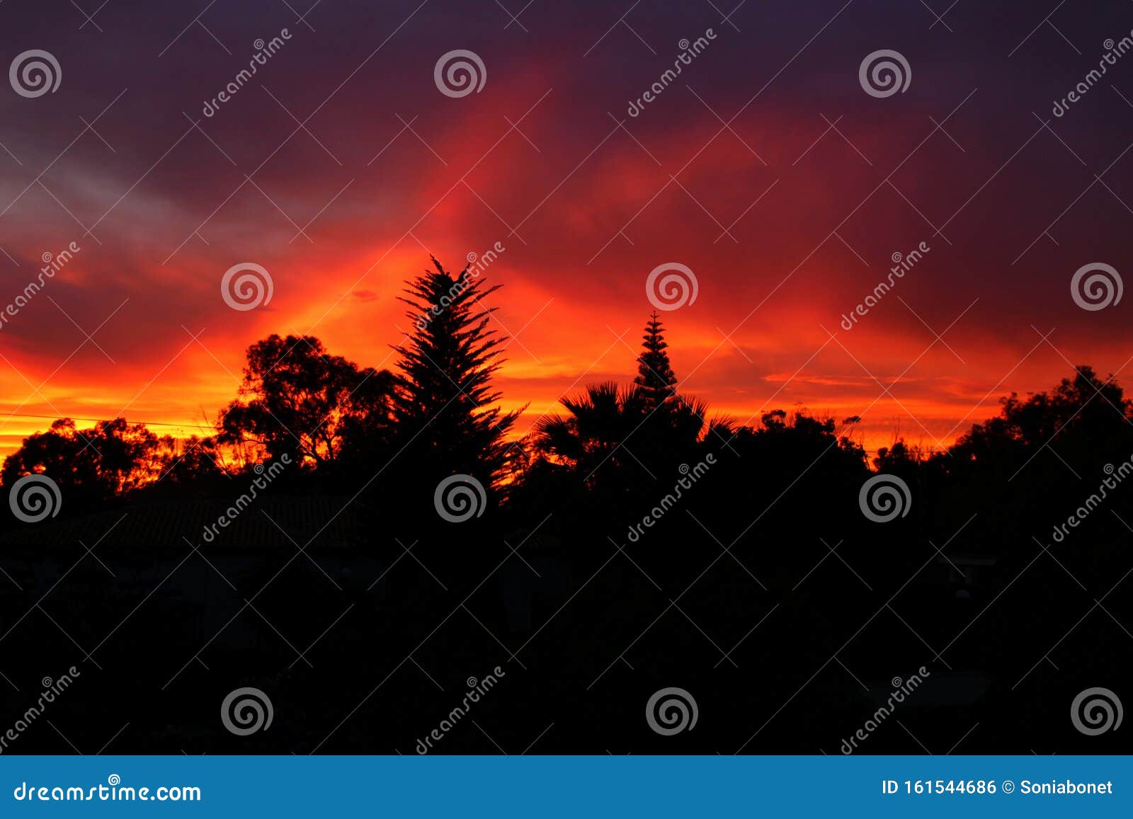 Spectacular Sunset with Fire Color Stock Photo - Image of morning ...