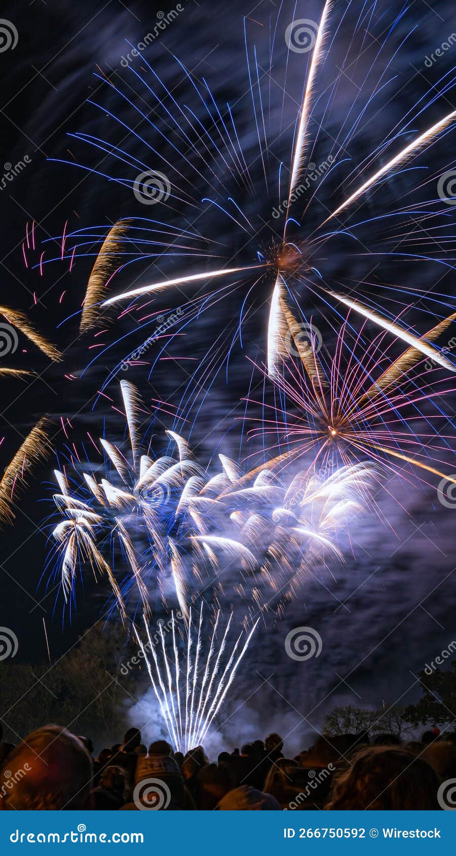 Spectacular Vertical View of a Crowd Watching Beautiful Fireworks ...