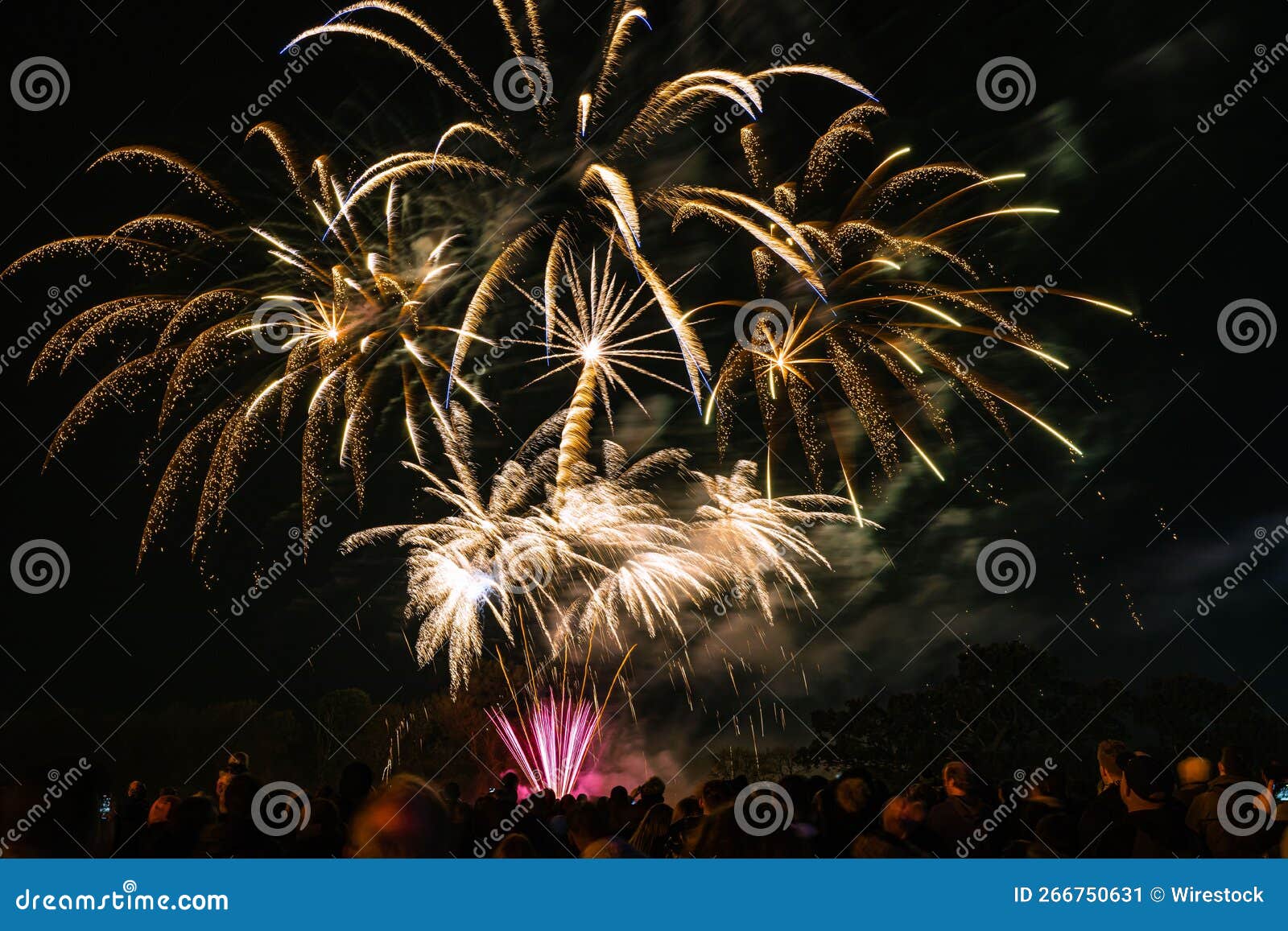 Spectacular View of a Crowd Watching Beautiful Fireworks Explode in a ...