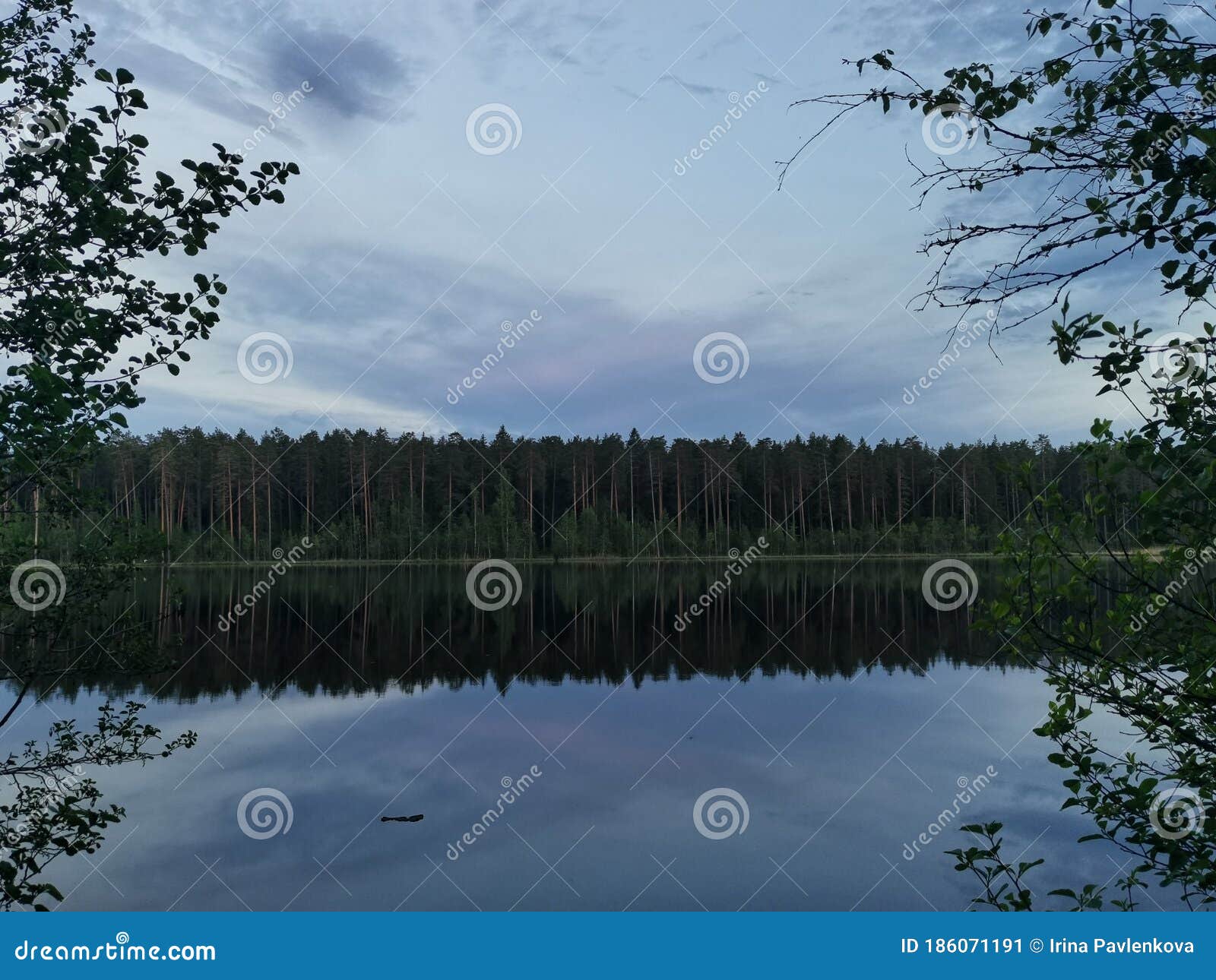 Spectacular View on the Lake with the Forest, Russia Stock Image ...