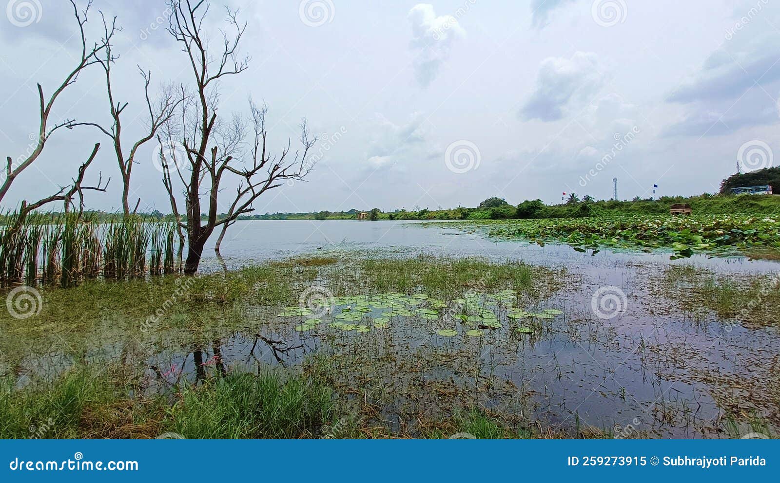 A Spectacular View of the Lakefront at Varuna, Near Mysore Stock Image ...