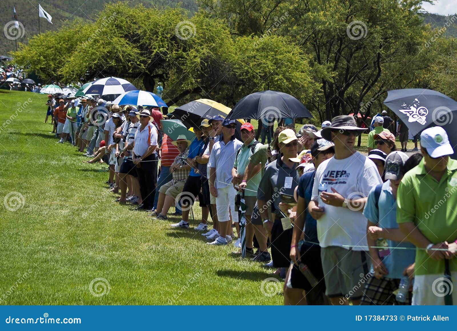 2,008 International Sports Spectators Stock Photos - Free & Royalty ...