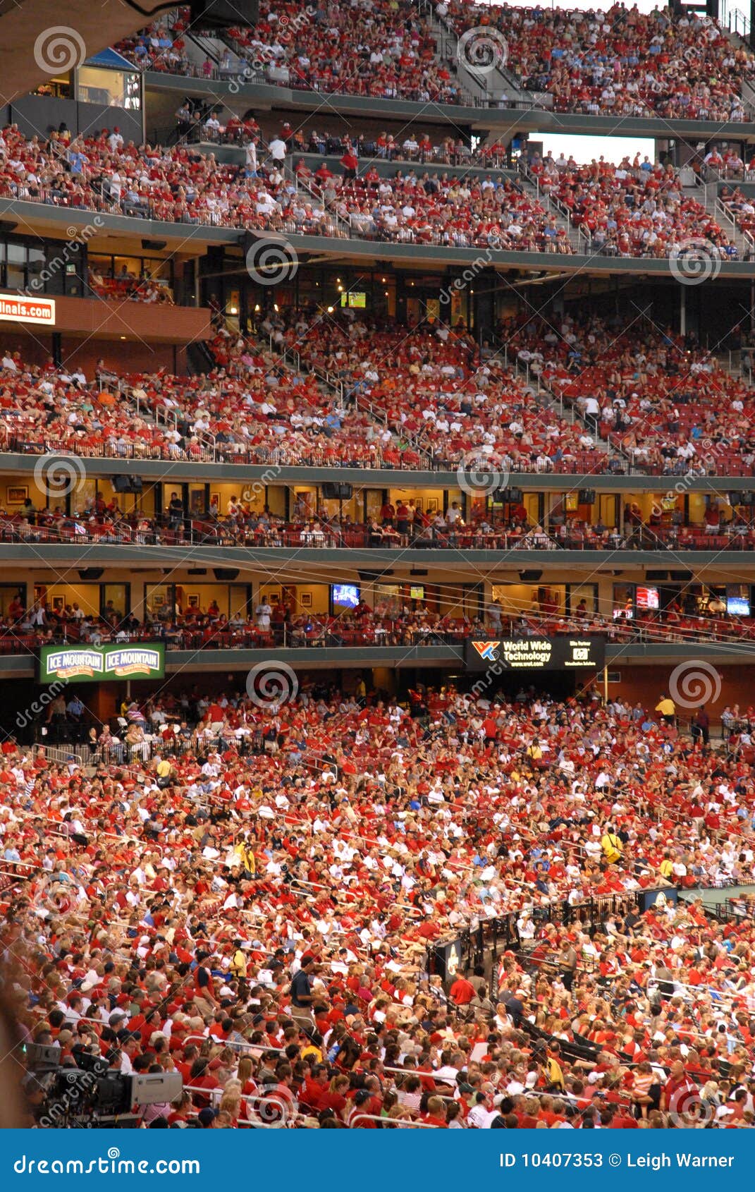 Spectators Busch Stadium editorial stock photo. Image of green - 10407353