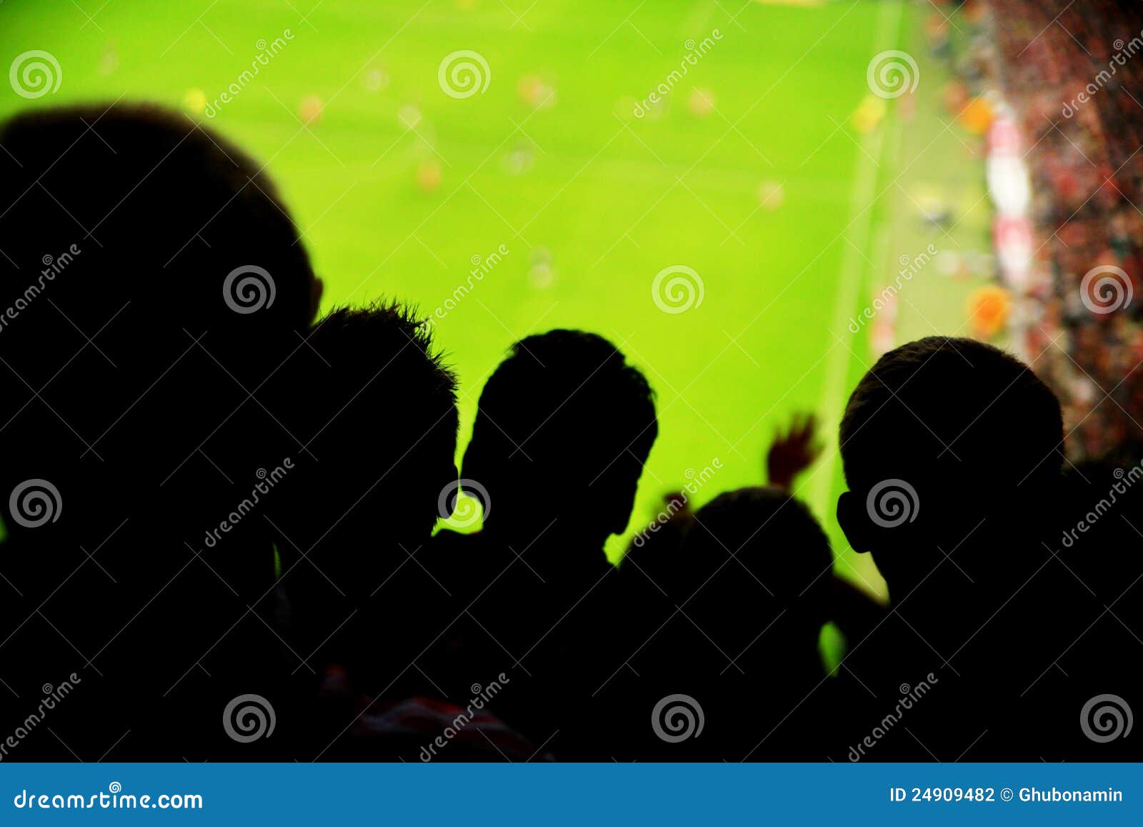 Spectators fans football stock photo. Image of back, celebrate - 24909482