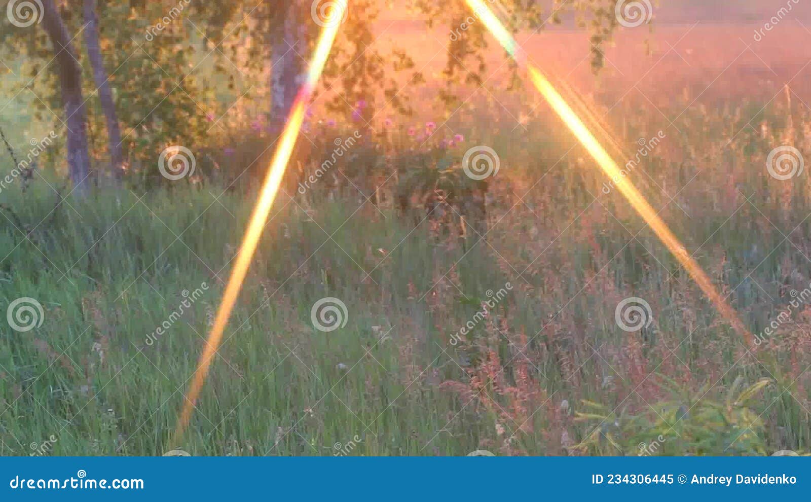 Spectra of the Setting Sun. Stock Video - Video of diffraction, leaves ...