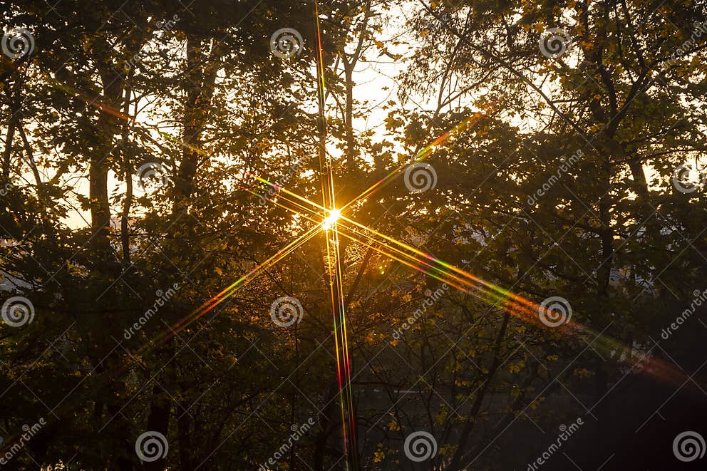 Spectra of the setting sun stock image. Image of interference - 345479841