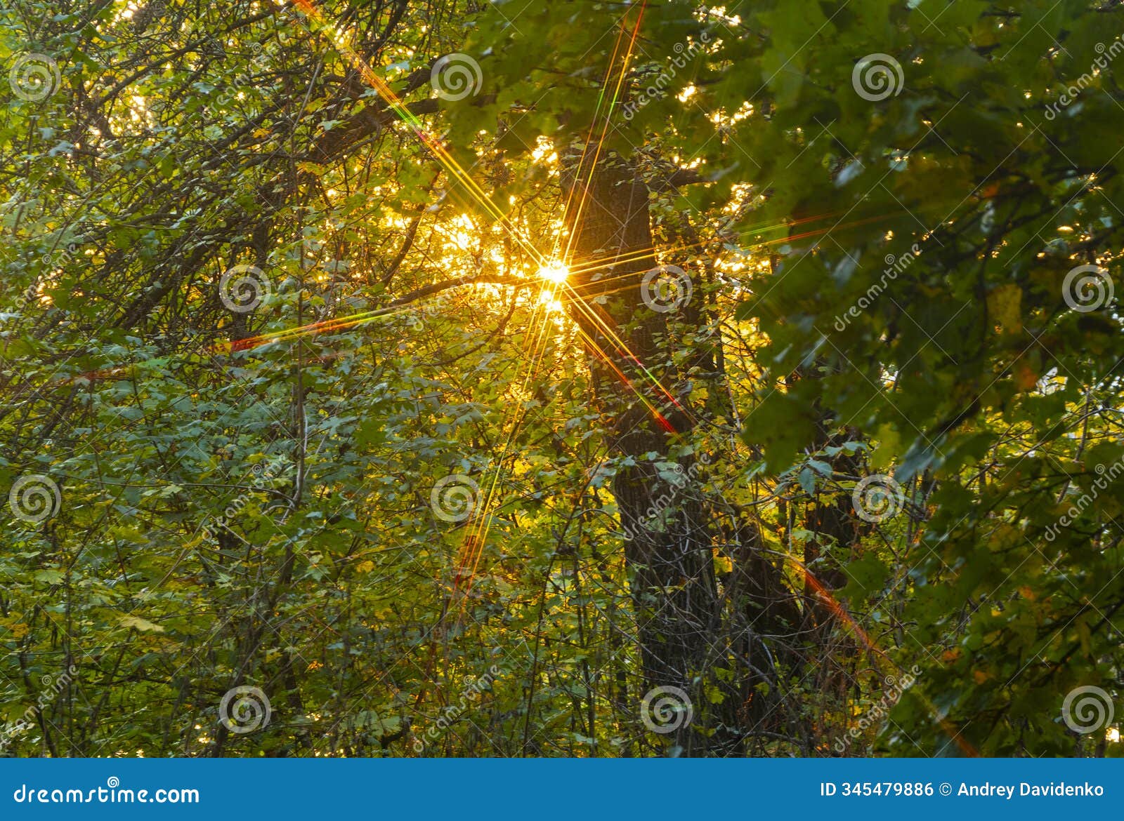 Spectra of the setting sun stock photo. Image of interference - 345479886