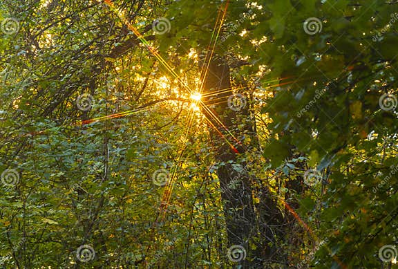 Spectra of the setting sun stock photo. Image of interference - 345479886