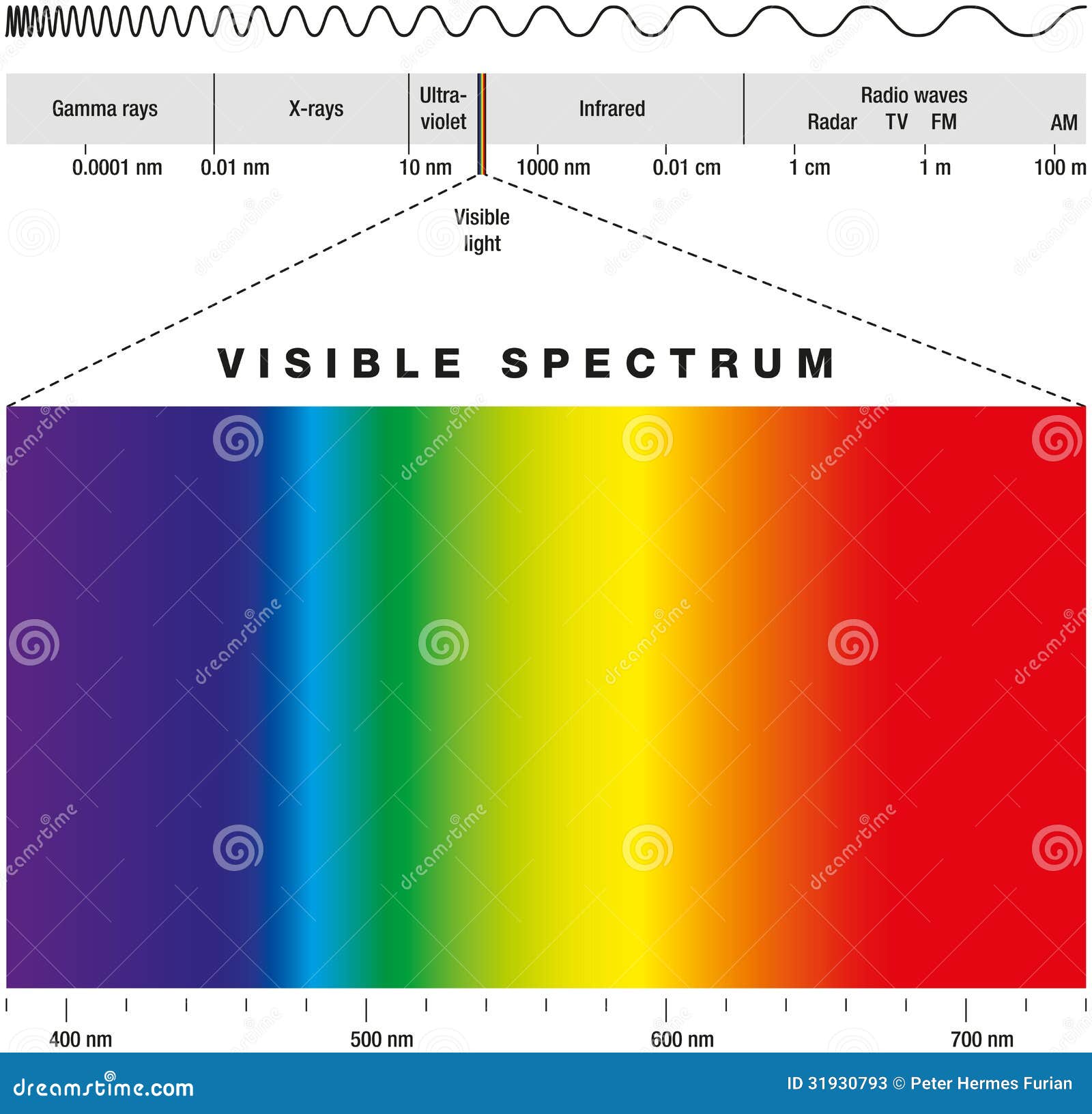 Spectre électromagnétique illustration de vecteur. Illustration du oeil ...