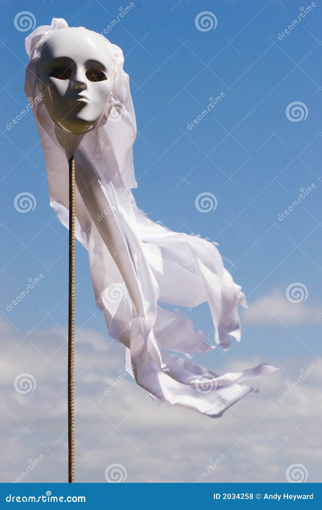 Spectre stock photo. Image of freaky, copyspace, bird - 2034258