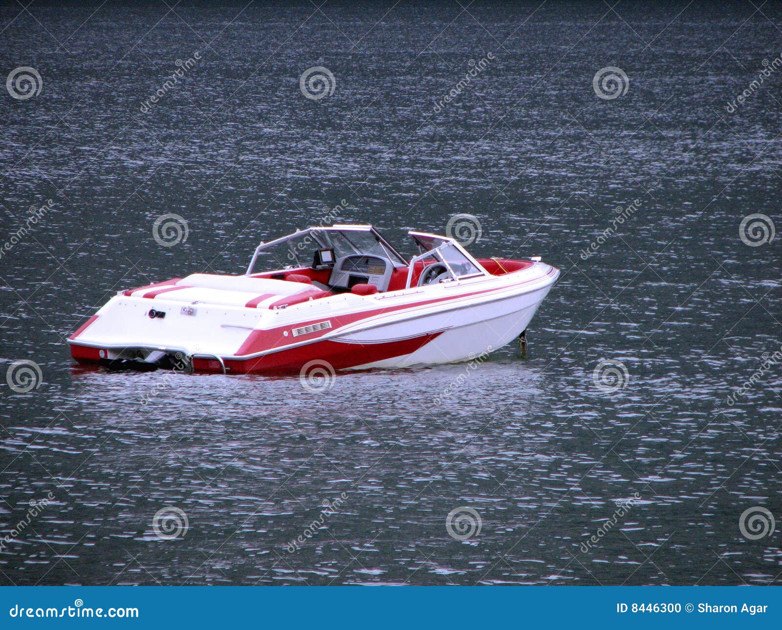Speed boat stock photo. Image of leisure, lake, water - 8446300