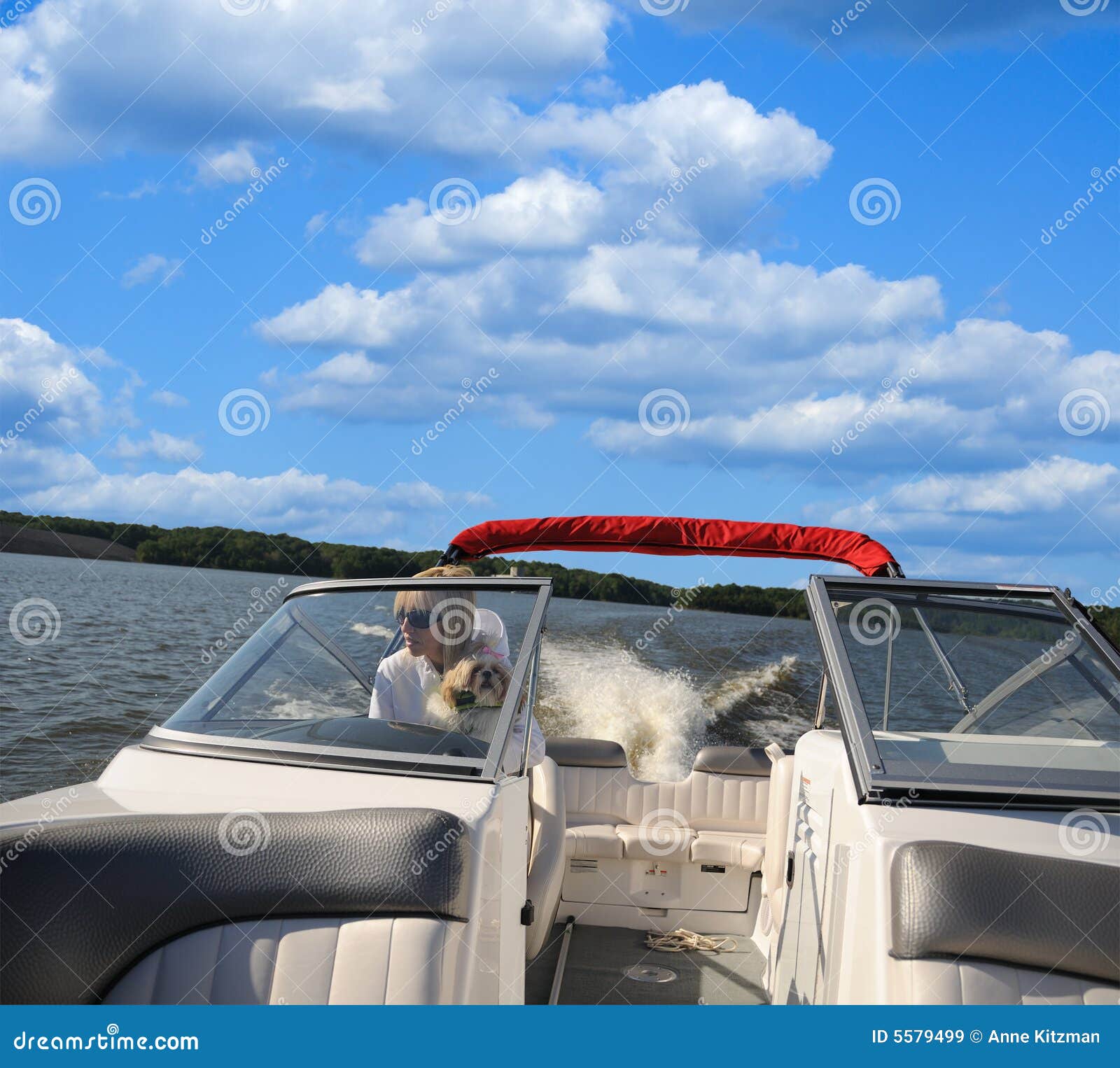 Speed Boating in Kentucky stock image. Image of cruise - 5579499