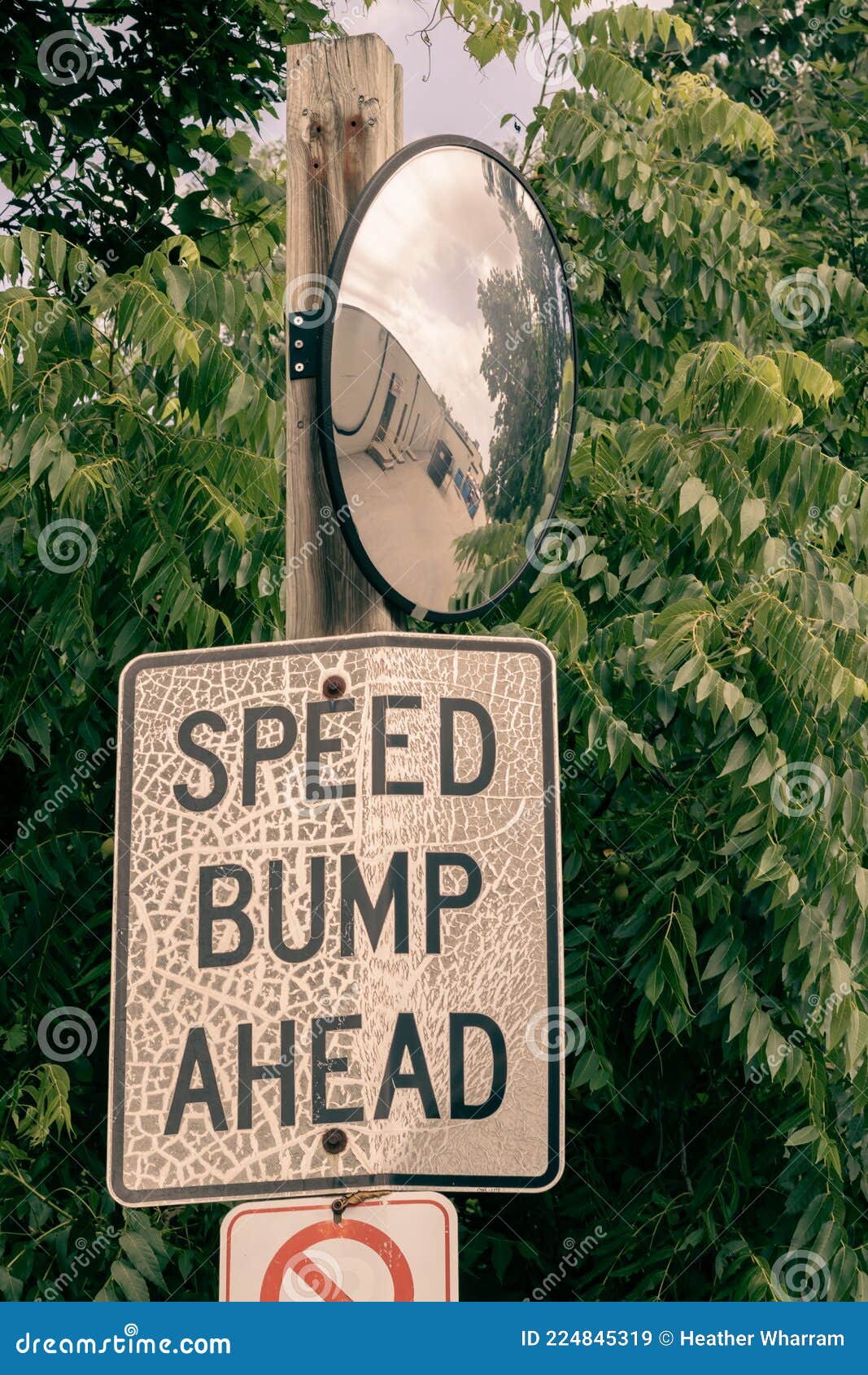 Speed Bump Sign Below Convex Safety Mirror Stock Image - Image of ... Speed Bump Sign Below Convex Safety Mirror Stock Image - Image of ...