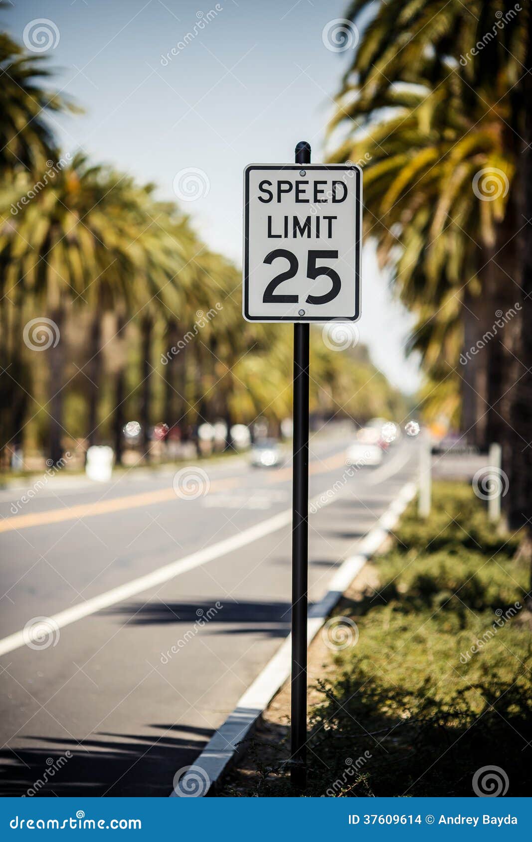 Speed Limit 25 sign stock photo. Image of rules, post - 37609614