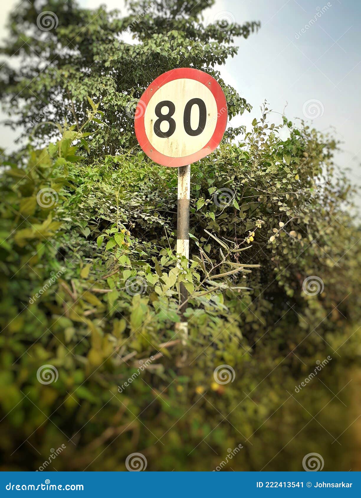 Speed Limit 80 Sign At The Street. Round Speed Limit Warning Plant ...