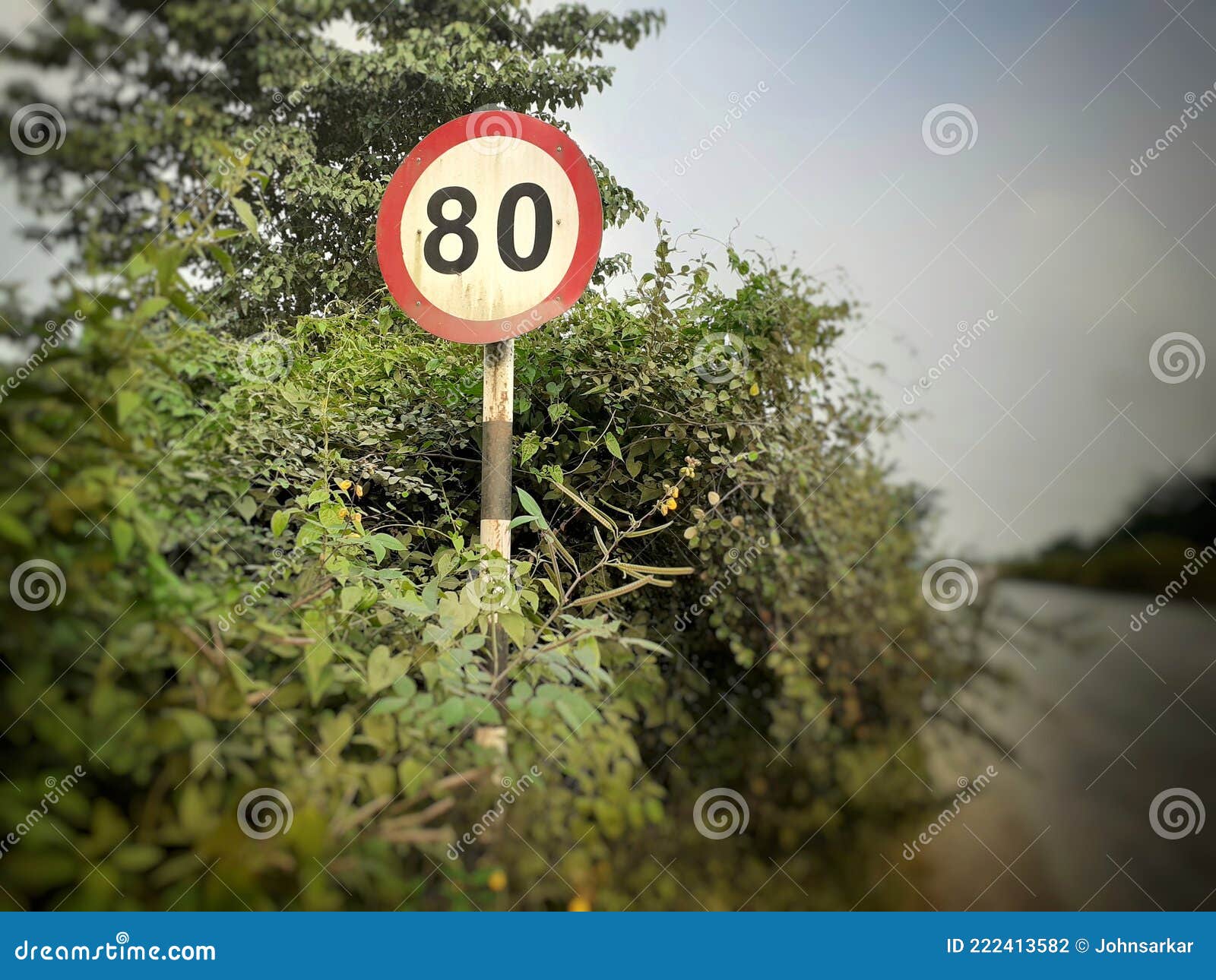 Speed Limit 80 Sign at the Street. Round Speed Limit Warning Plant ...