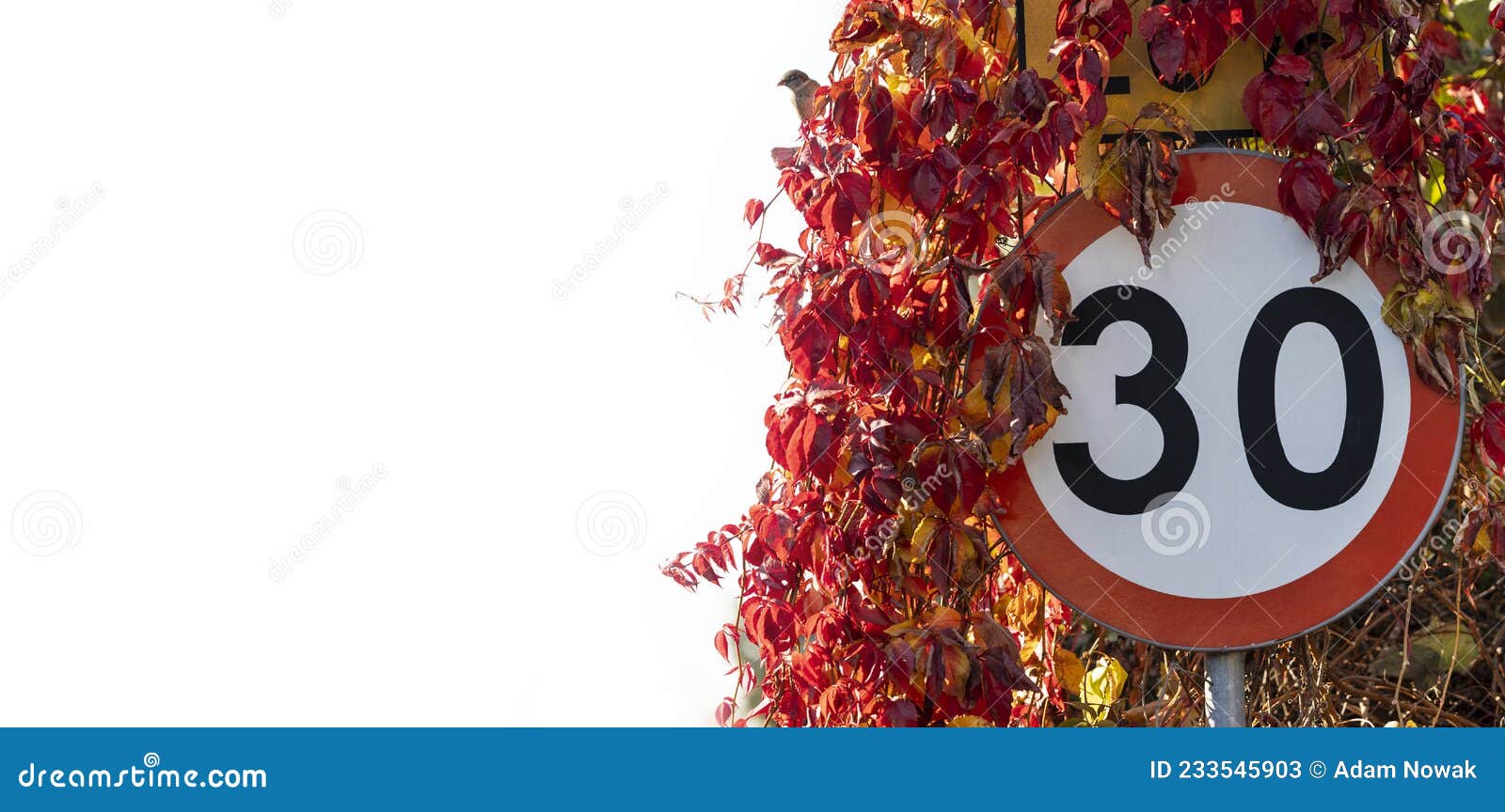 Speed Limit Sign 30 Km/h and Copy-space Stock Image - Image of safety ...