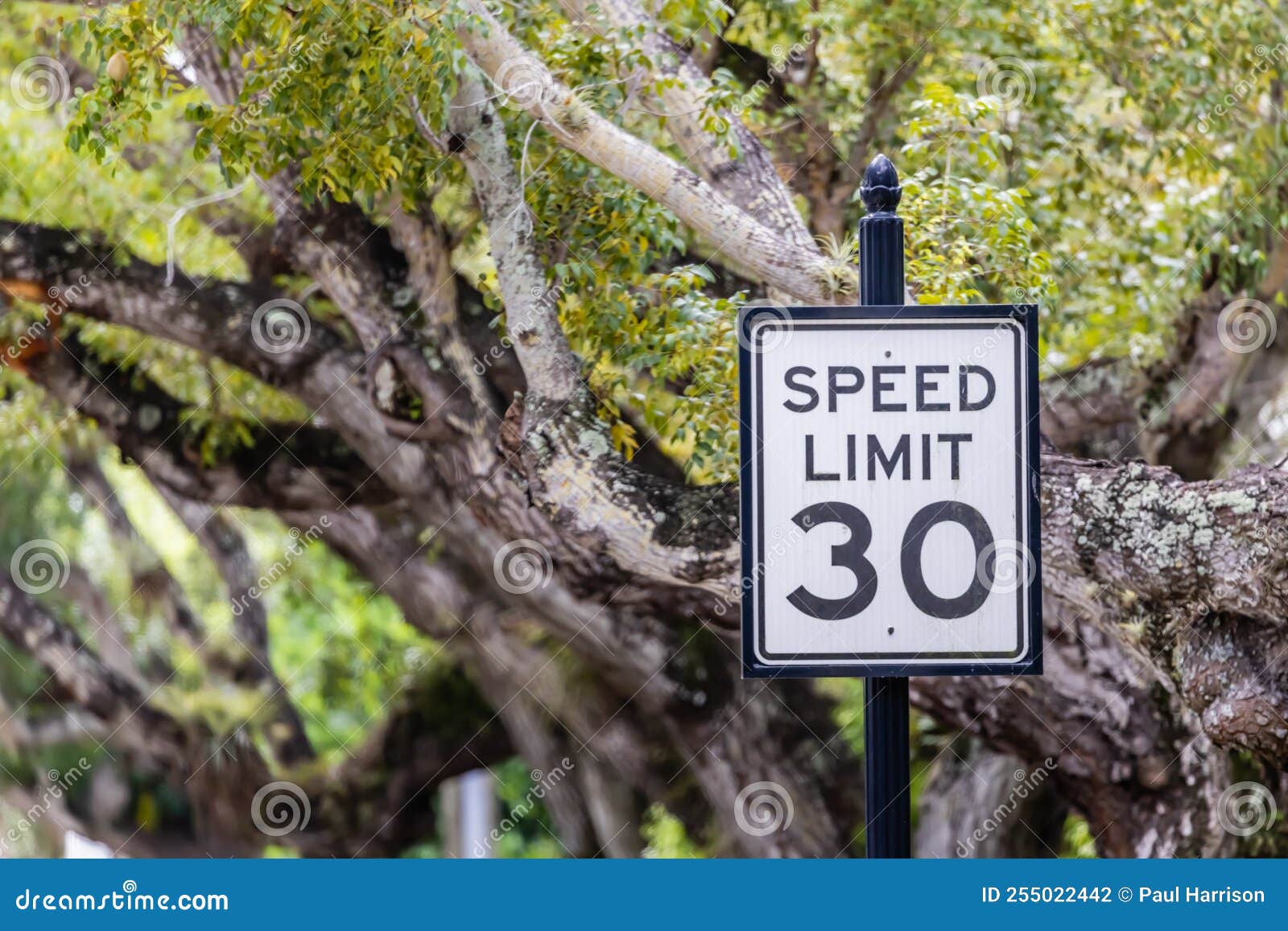 Speed Limit 30 MPH Sign stock photo. Image of signage - 255022442