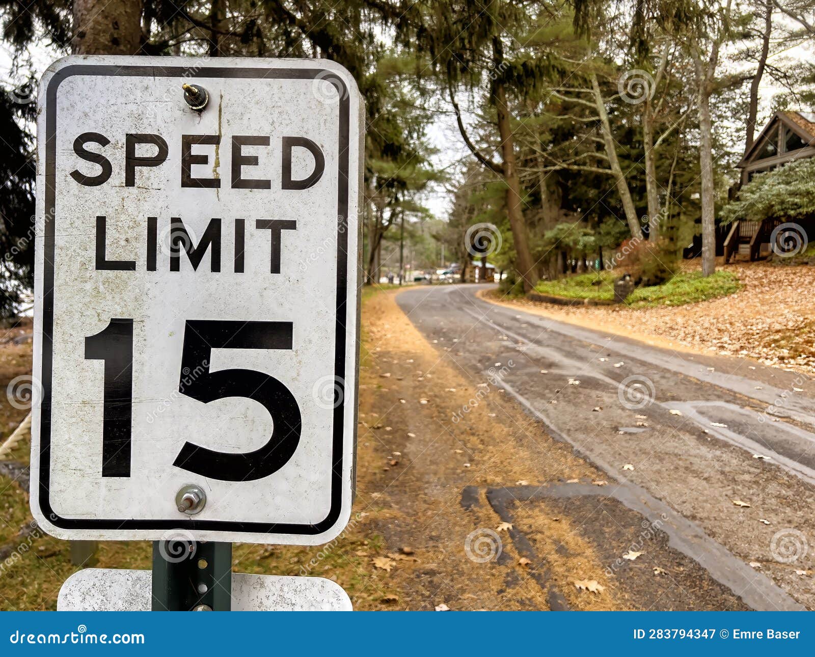 Speed Limit 15 Sign on a Rural Road Stock Image - Image of bird, park ...