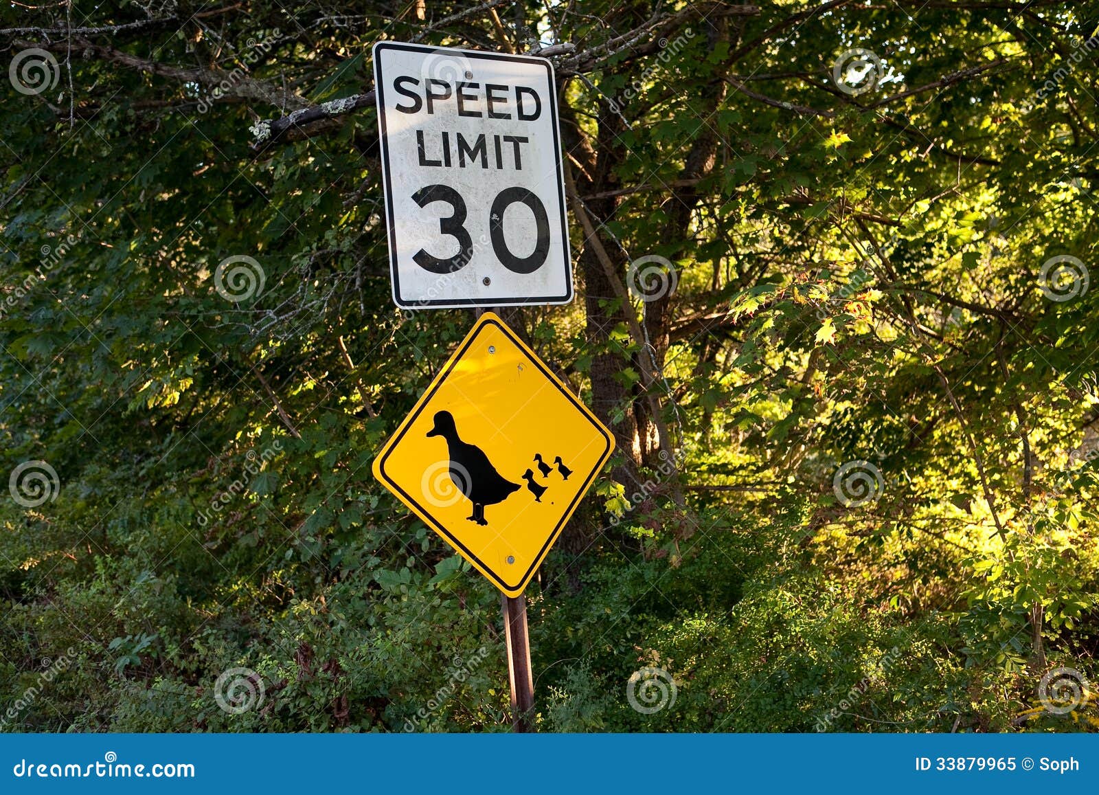 Speed limit stock image. Image of limit, side, speed - 33879965