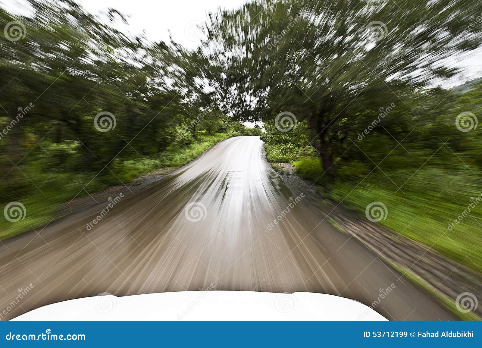 Speed stock image. Image of forest, green, color, line - 53712199