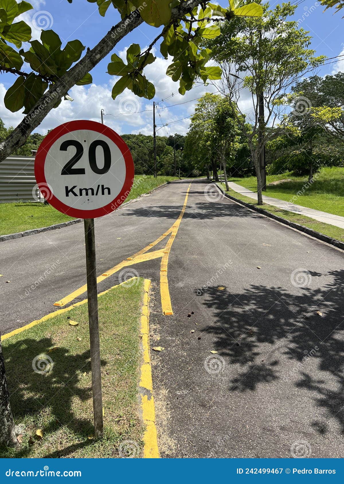 Speed Board stock image. Image of accidents, speed, board - 242499467